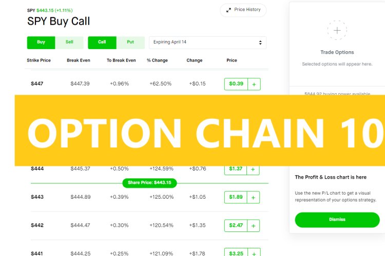 What is an Option Chain: A Guide for Beginners - Trade with market Moves